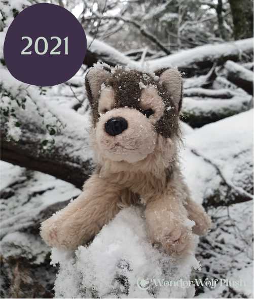 About us – Wonder Wolf Plush