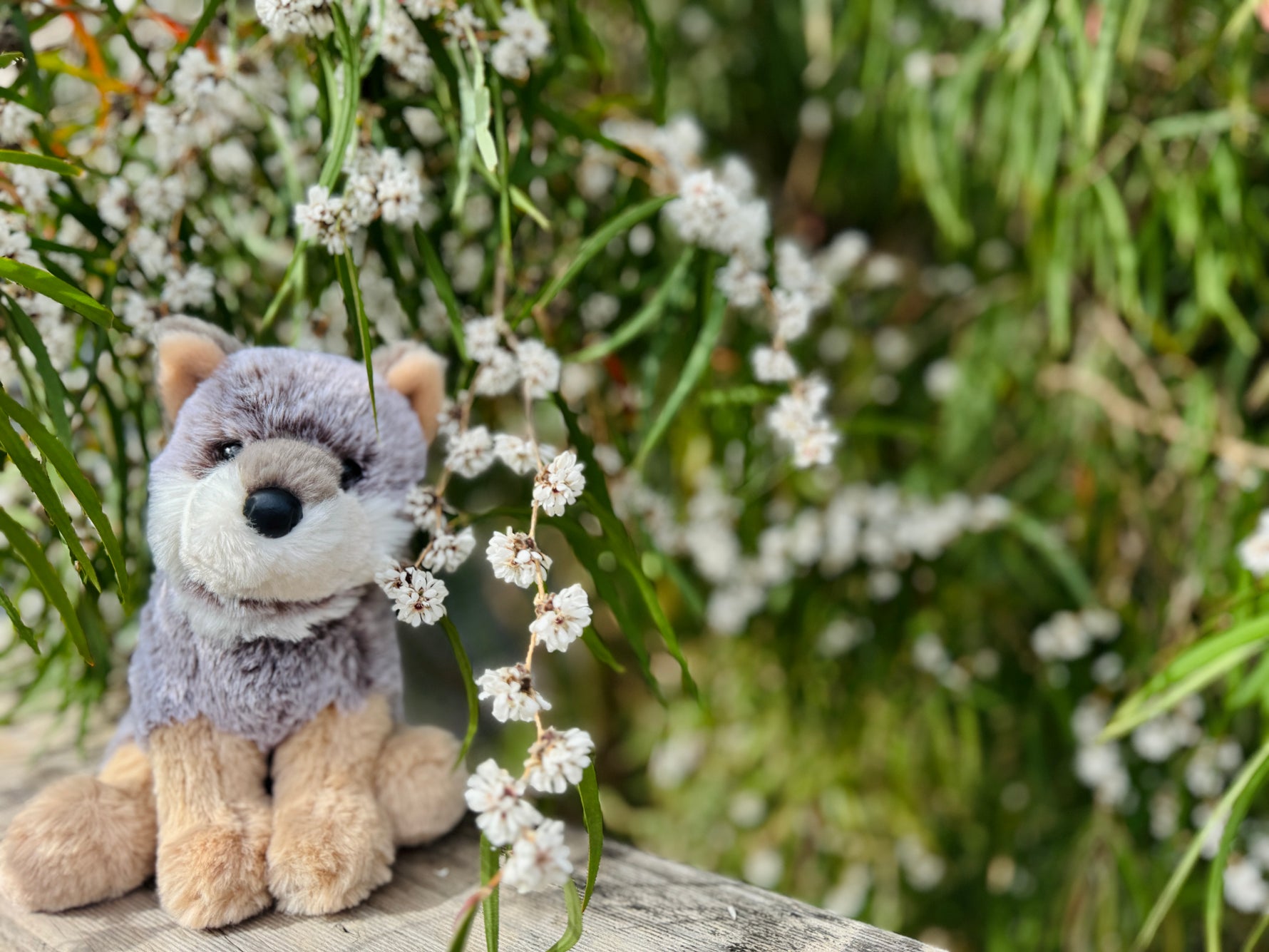 Wonder Wolf Plush