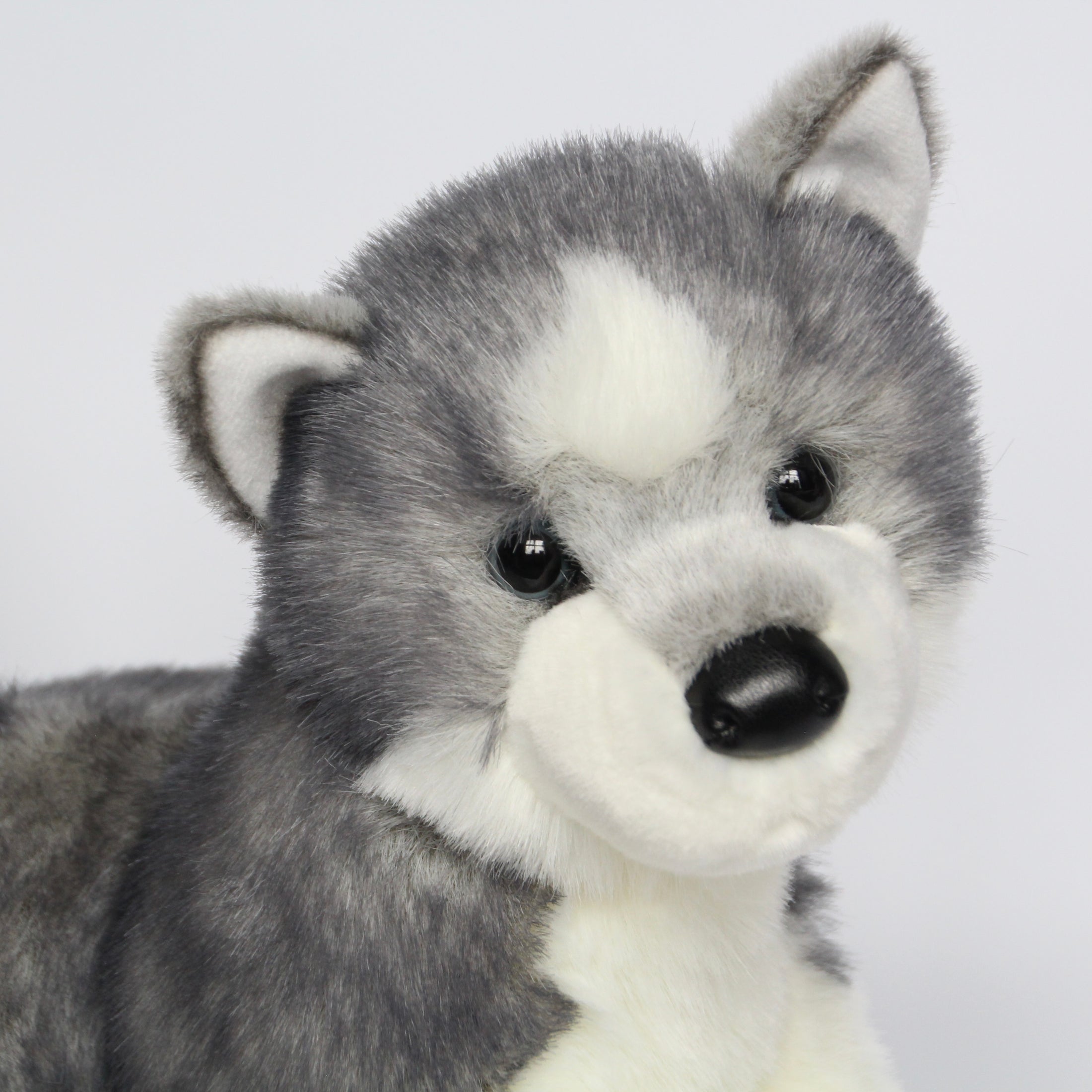 Sasha Husky – Wonder Wolf Plush