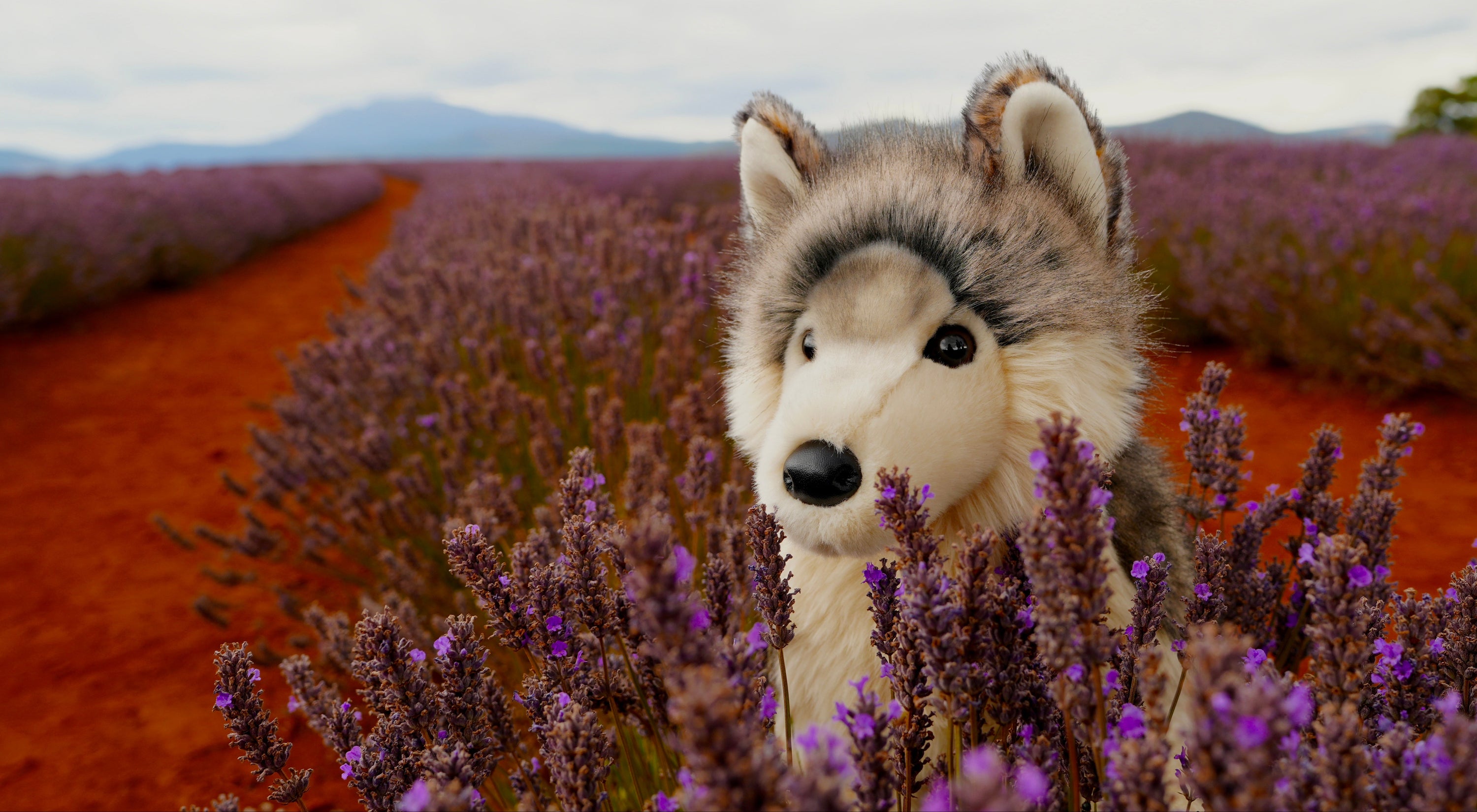 Wonder Wolf Plush